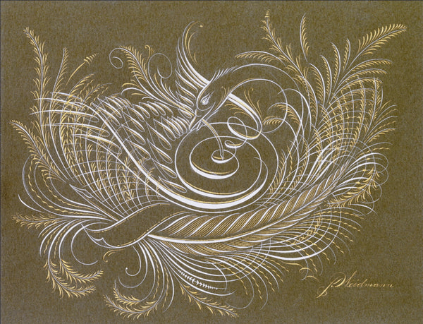 Swan Letters | ORIGINAL – Jake Weidmann Artist and Master Penman