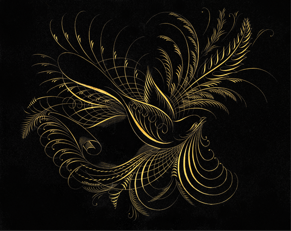 Sky Writer | Bird Flourish ORIGINAL – Jake Weidmann Artist and Master ...