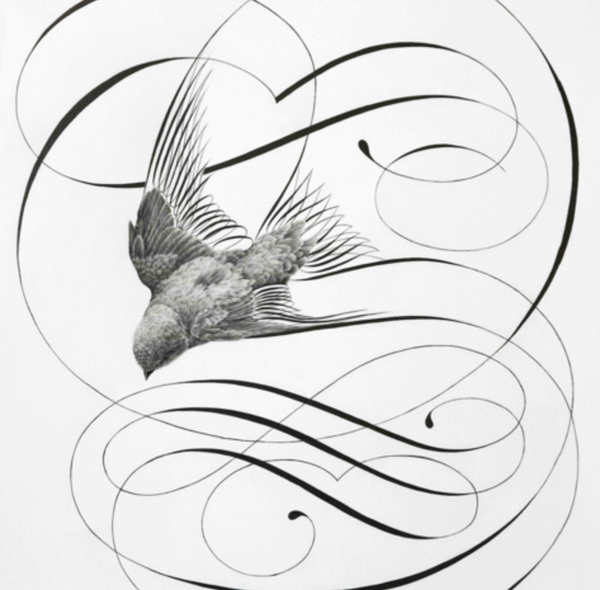 Flight of Fancy – Jake Weidmann Artist and Master Penman